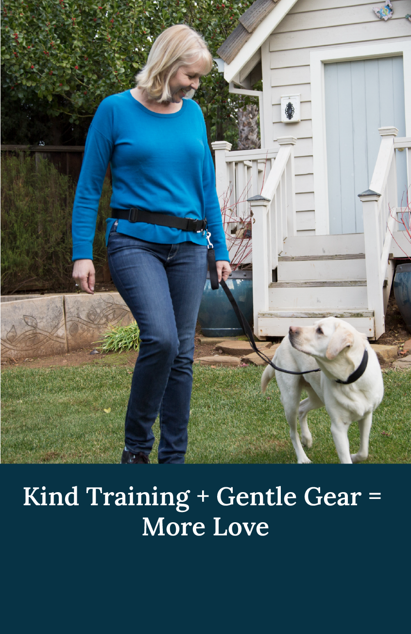 FearLess Pet - Gentle Gear + Kind Training = More Love
